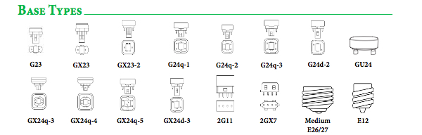 Bulbs Identification Guide